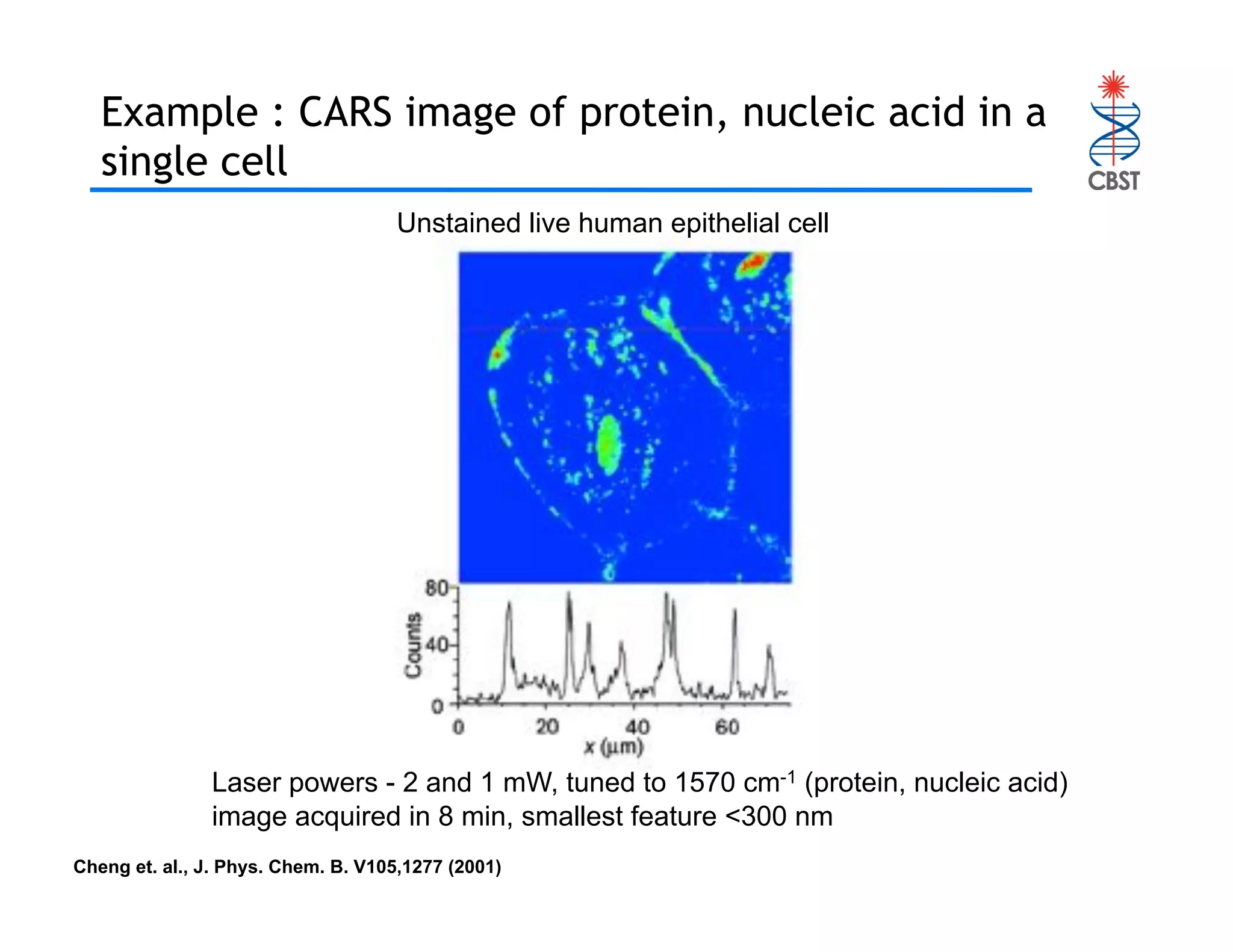 Raman and Coherent anti-Stokes Raman Scattering (CARS) Spectroscopy and ...