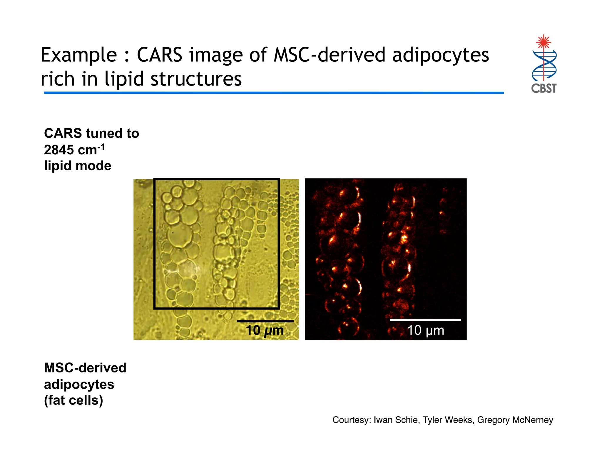Raman and Coherent anti-Stokes Raman Scattering (CARS) Spectroscopy and ...