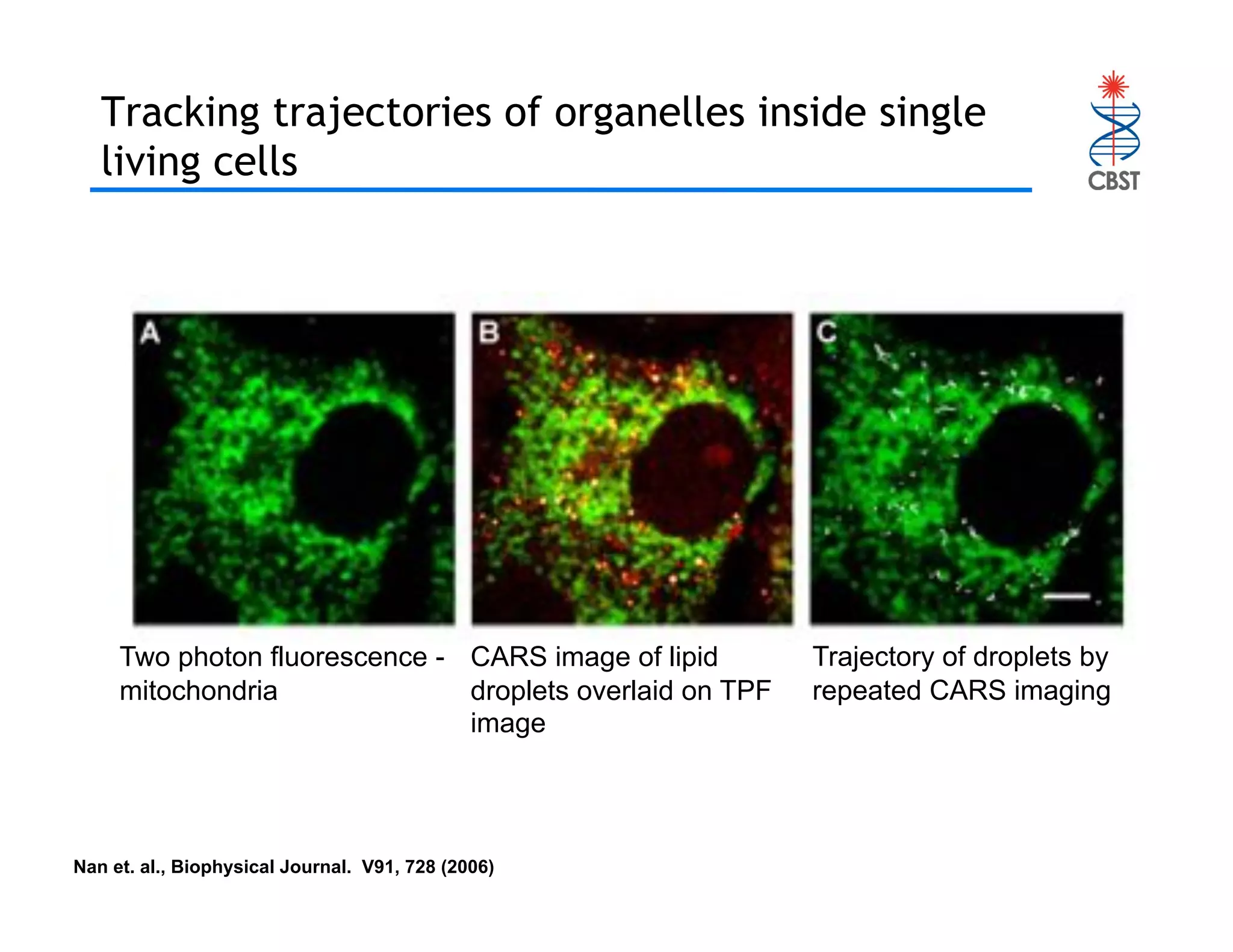 Raman and Coherent anti-Stokes Raman Scattering (CARS) Spectroscopy and ...