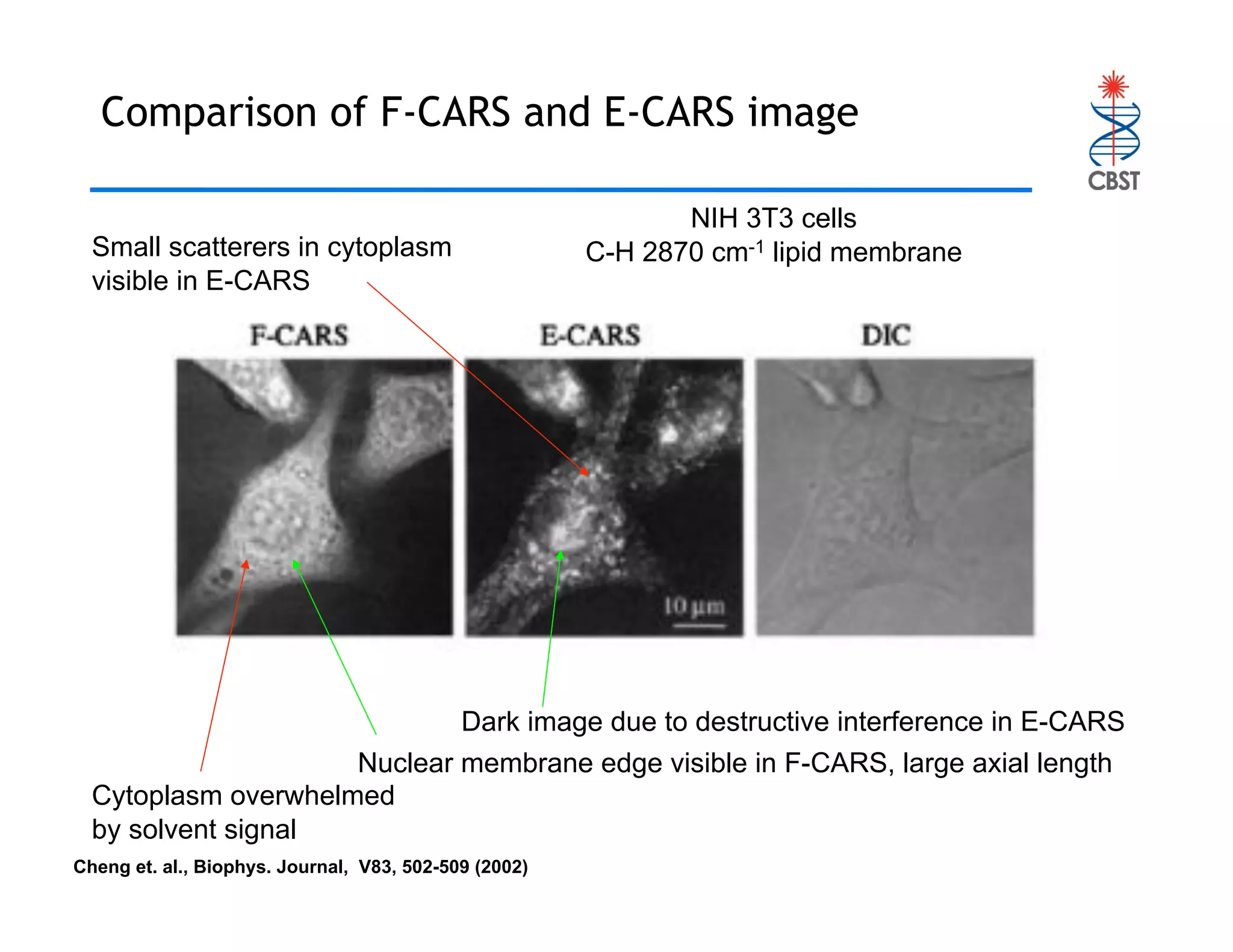 Raman and Coherent anti-Stokes Raman Scattering (CARS) Spectroscopy and ...
