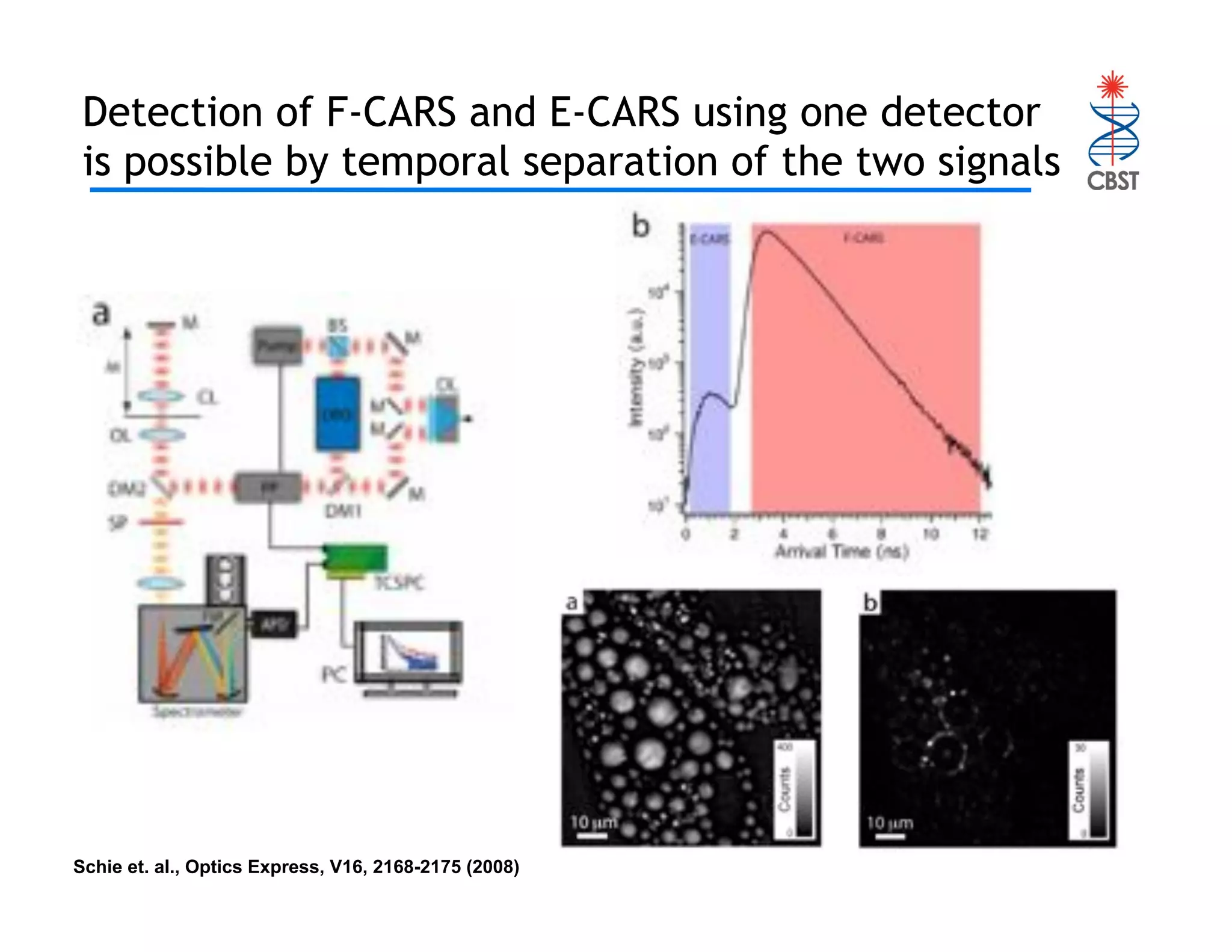 Raman and Coherent anti-Stokes Raman Scattering (CARS) Spectroscopy and ...