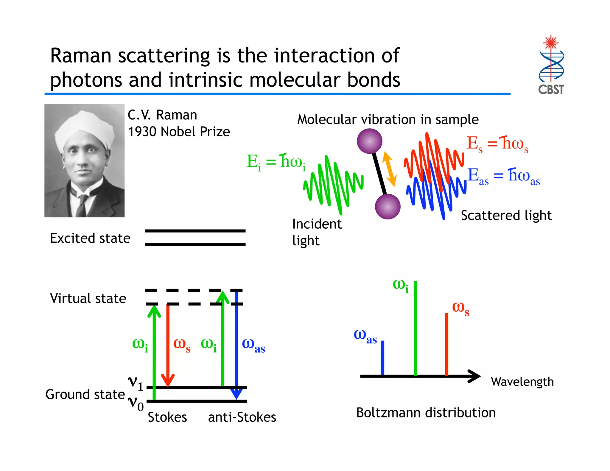 Raman and Coherent anti-Stokes Raman Scattering (CARS) Spectroscopy and ...