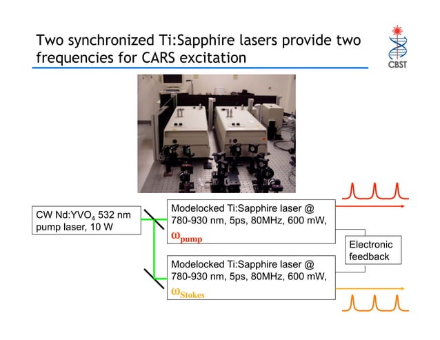 Raman and Coherent anti-Stokes Raman Scattering (CARS) Spectroscopy and ...