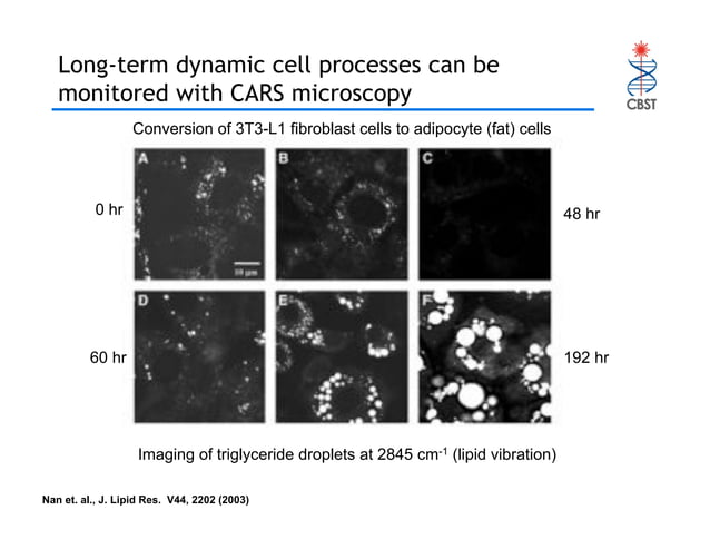 Raman and Coherent anti-Stokes Raman Scattering (CARS) Spectroscopy and ...