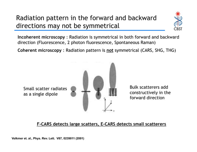 Raman and Coherent anti-Stokes Raman Scattering (CARS) Spectroscopy and ...