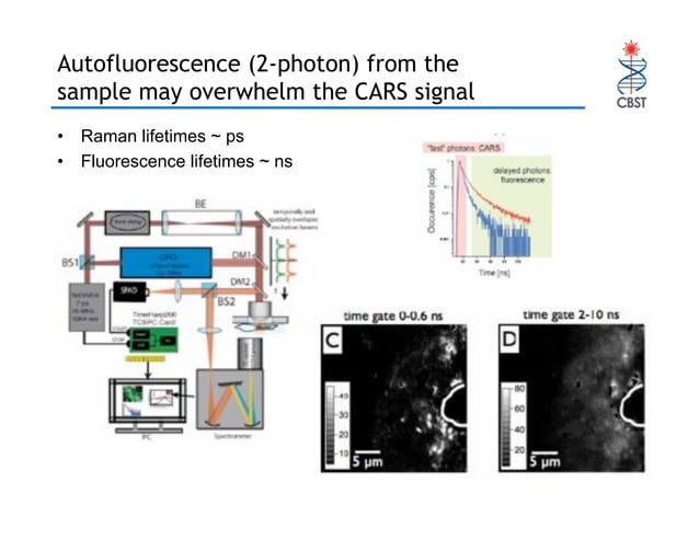 Raman and Coherent anti-Stokes Raman Scattering (CARS) Spectroscopy and ...