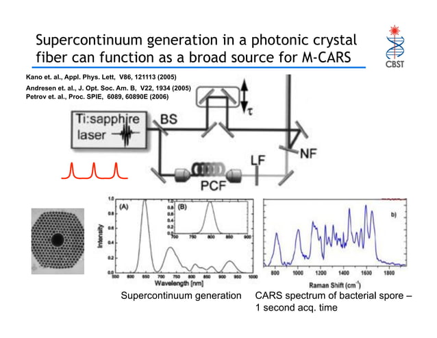 Raman and Coherent anti-Stokes Raman Scattering (CARS) Spectroscopy and ...