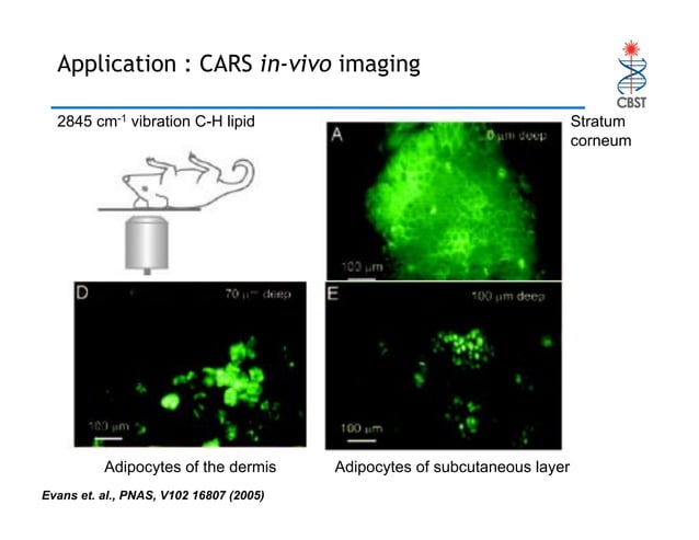 Raman and Coherent anti-Stokes Raman Scattering (CARS) Spectroscopy and ...