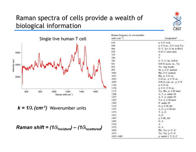 Raman and Coherent anti-Stokes Raman Scattering (CARS) Spectroscopy and ...
