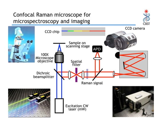 Raman and Coherent anti-Stokes Raman Scattering (CARS) Spectroscopy and ...