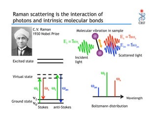 Raman and Coherent anti-Stokes Raman Scattering (CARS) Spectroscopy and ...