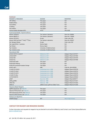 Interspecies Chimerism with Mmmalian Pluripotent Stem Cells | PDF