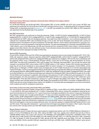 Interspecies Chimerism with Mmmalian Pluripotent Stem Cells | PDF