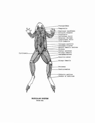 Atlas of the From | PDF