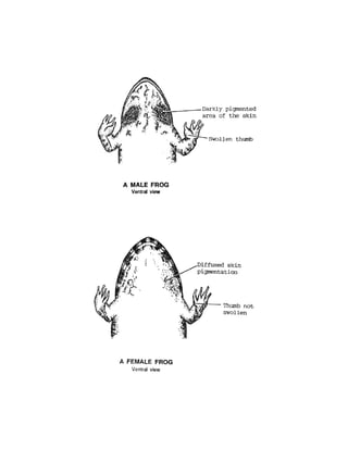 Atlas of the From | PDF