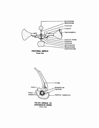 Atlas of the From | PDF