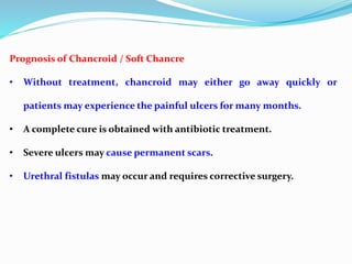 UPADAMSHA (Chancroid / SOFT CHANCRE) | PPSX