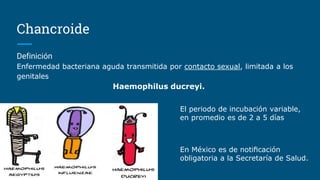 Chancroide LGV Gonorrea | PPTX