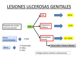 Chancroide y virus del herpes simple | PDF