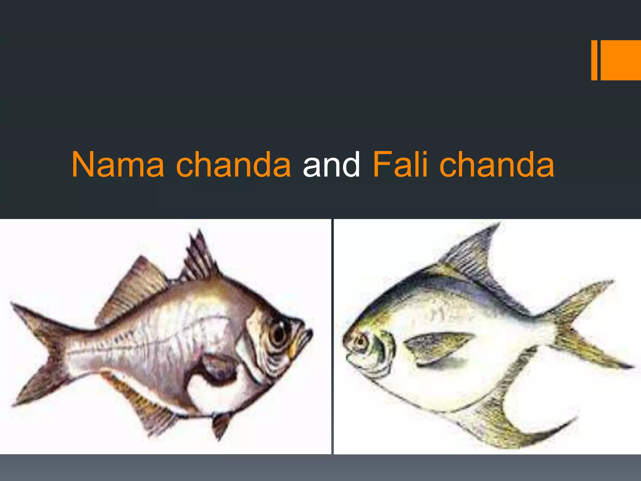Chanda fish(chanda nama) | PPTX