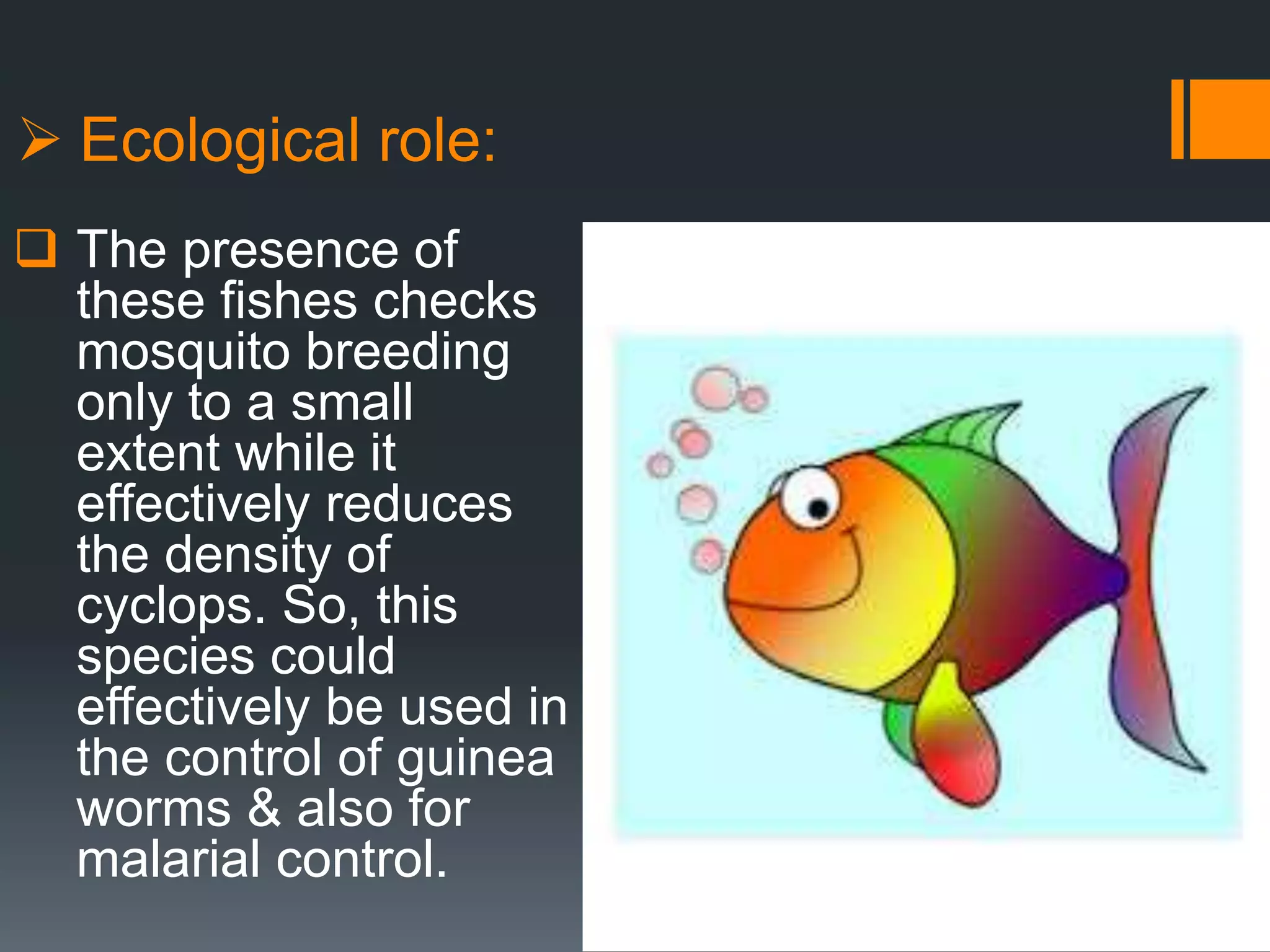 Chanda fish(chanda nama) | PPTX | Fish and Aquariums | Pets