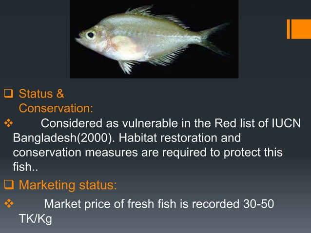 Chanda fish(chanda nama) | PPTX | Fish and Aquariums | Pets