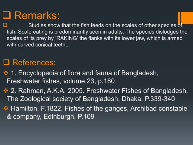 Chanda fish(chanda nama) | PPTX | Fish and Aquariums | Pets