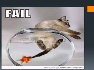 Chanda fish(chanda nama) | PPTX | Fish and Aquariums | Pets