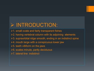 Chanda fish(chanda nama) | PPTX | Fish and Aquariums | Pets