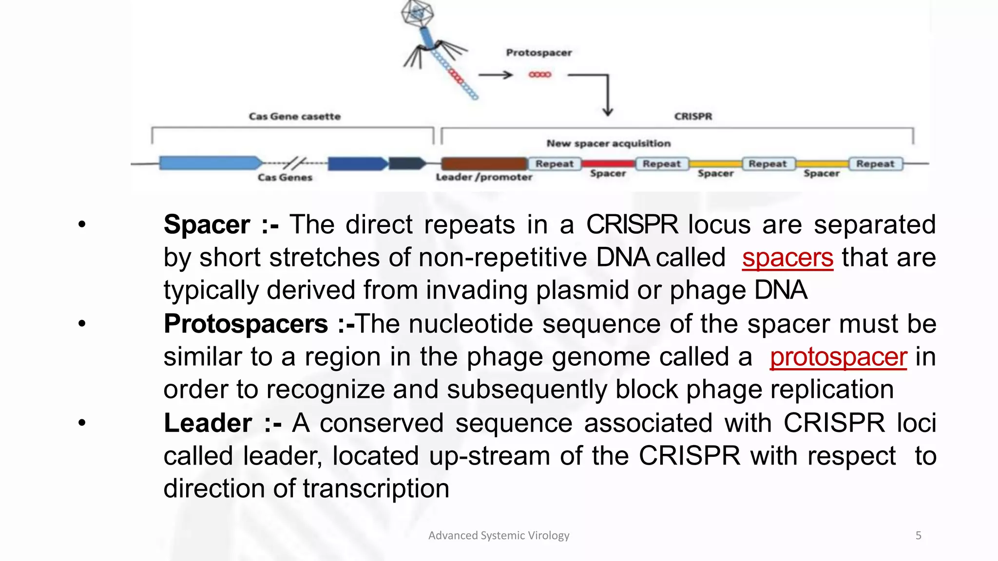 CRISPR-Cas system | PPTX