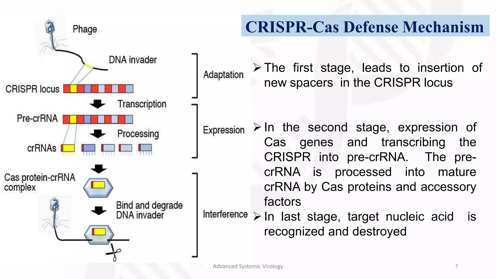 CRISPR-Cas system | PPTX