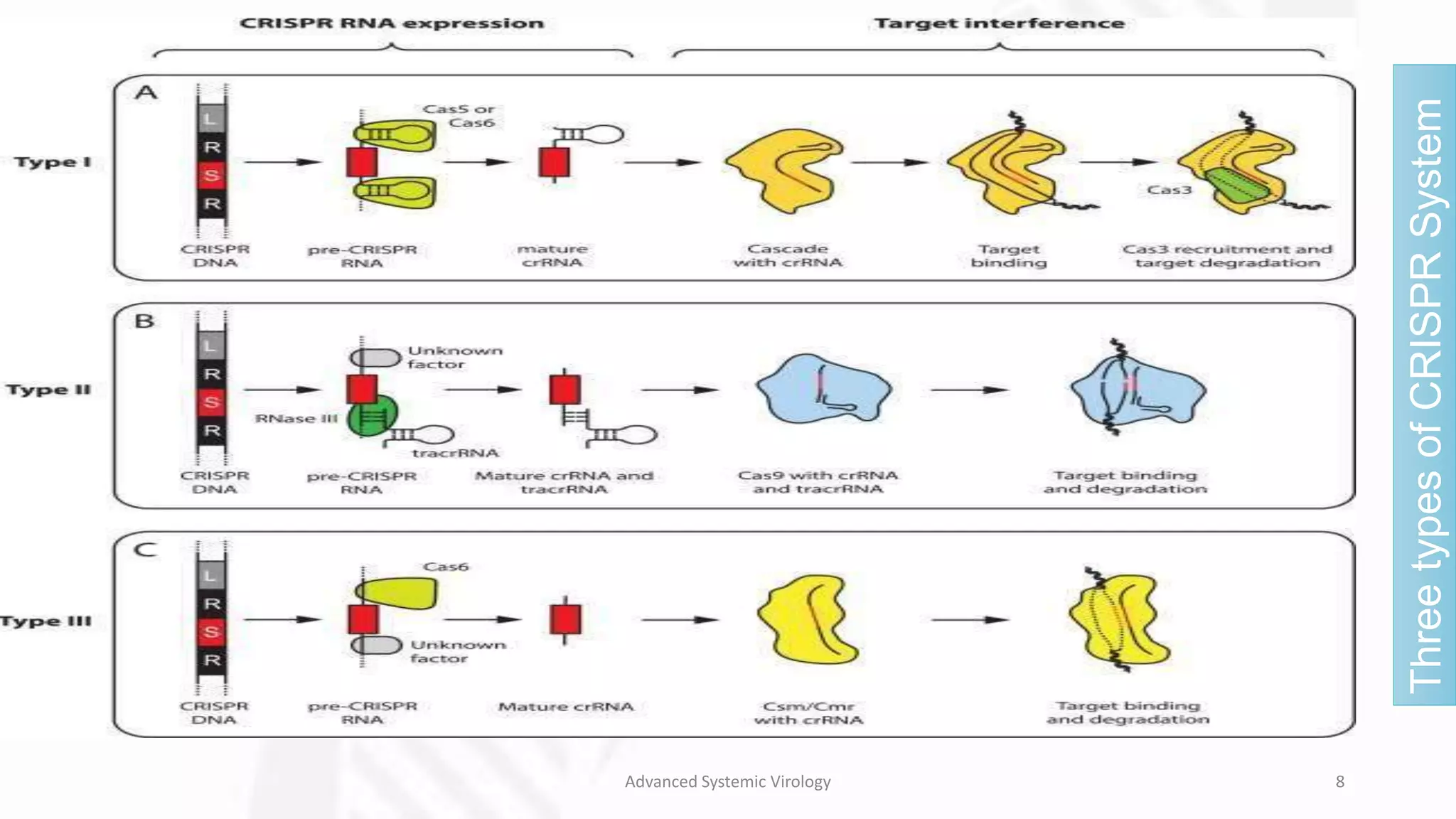 CRISPR-Cas system | PPTX