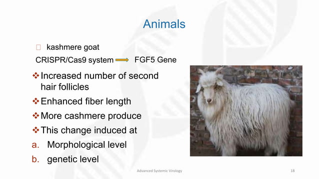 CRISPR-Cas system | PPTX