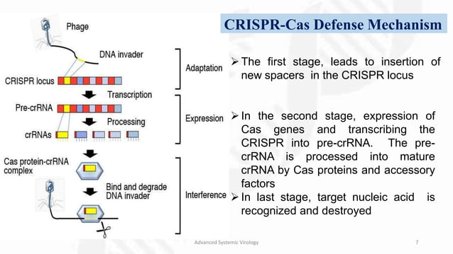 CRISPR-Cas system | PPTX