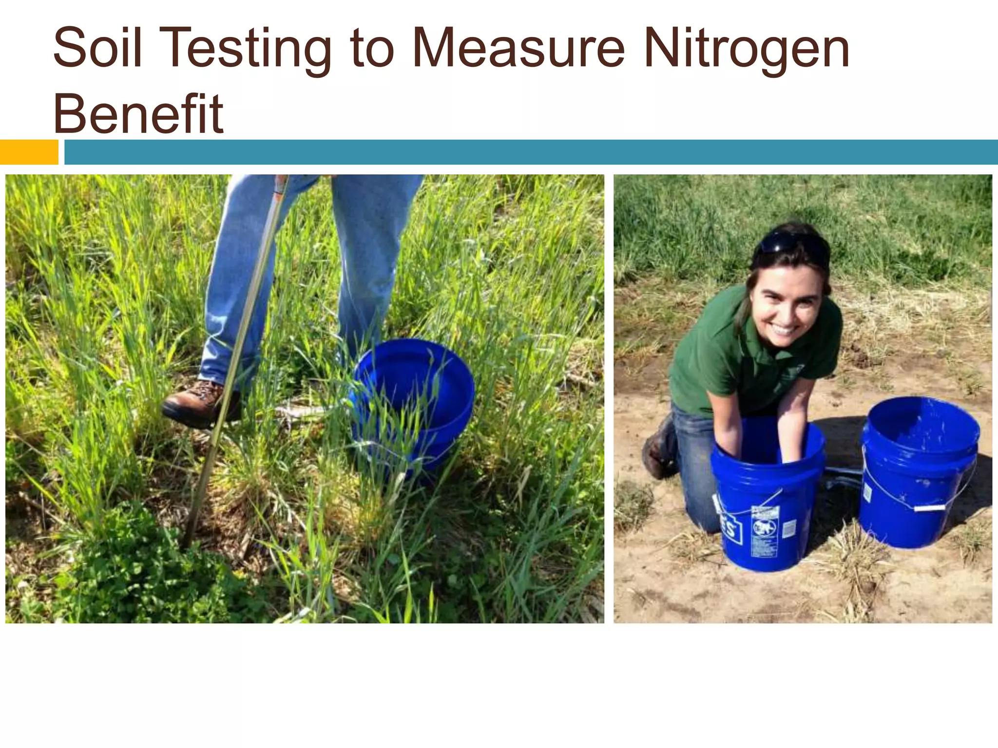 Using Soil Respiration Tests to Measure Plant Available Nitrogen ...