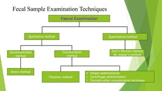 faecal examination sedimentation menthod | PPT