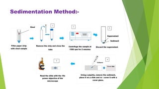 faecal examination sedimentation menthod | PPT