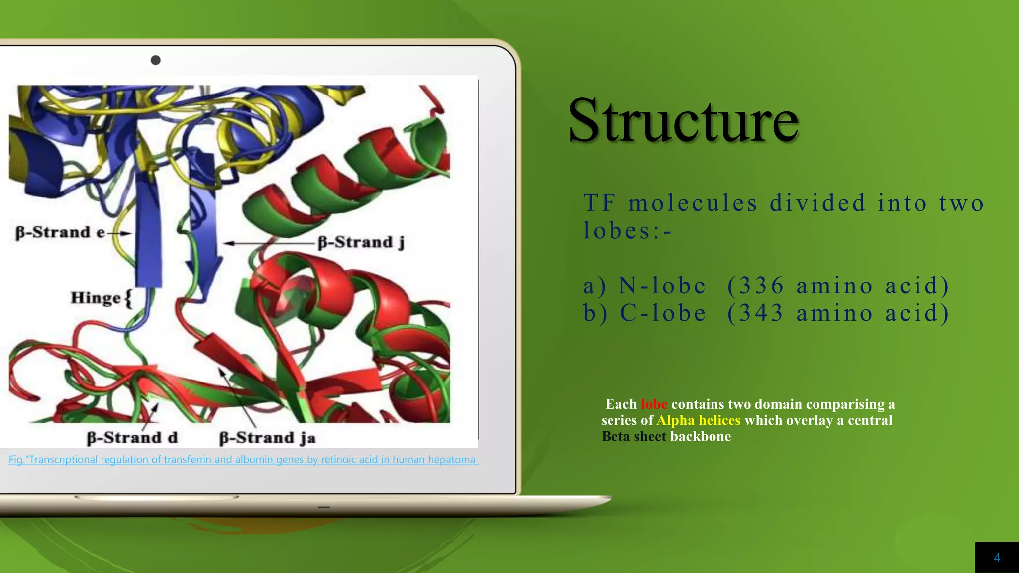 Transferrin protein protein design & engineering ppt (transferrin) | PPTX