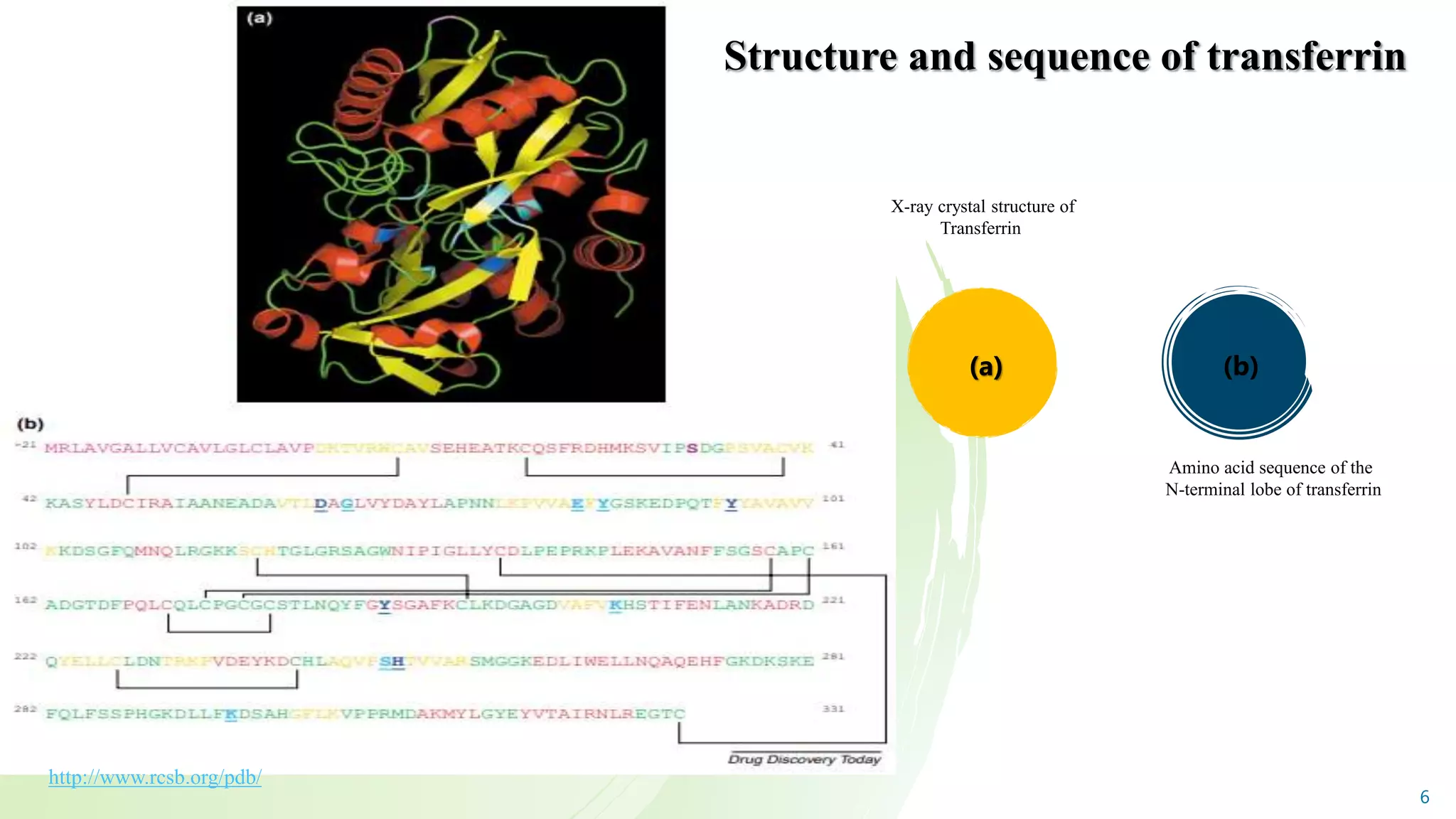 Transferrin protein protein design & engineering ppt (transferrin) | PPTX