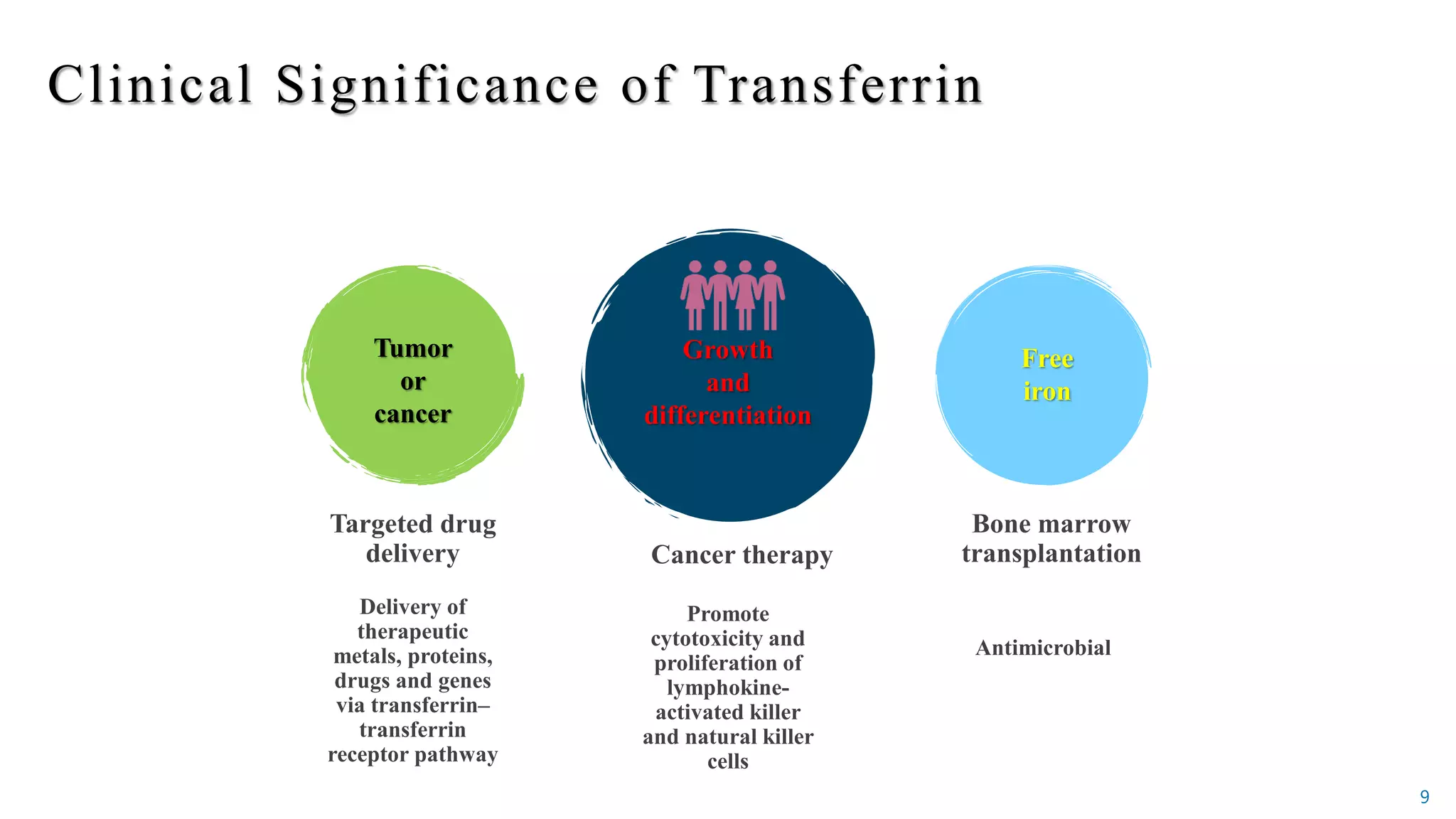 Transferrin protein protein design & engineering ppt (transferrin) | PPTX
