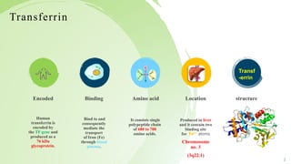 Transferrin protein protein design & engineering ppt (transferrin) | PPTX