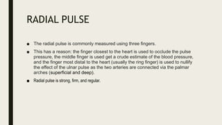 Radial pulse | PPTX