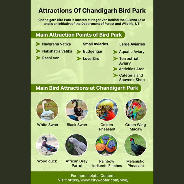 Explore Chandigarh Bird Park Attractions Points