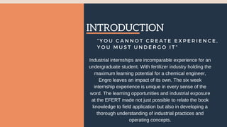 Report of Engro Fertilizer | PDF