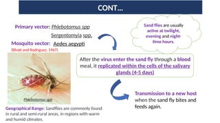 Chandipura Virus vector born disease ppt | PPTX