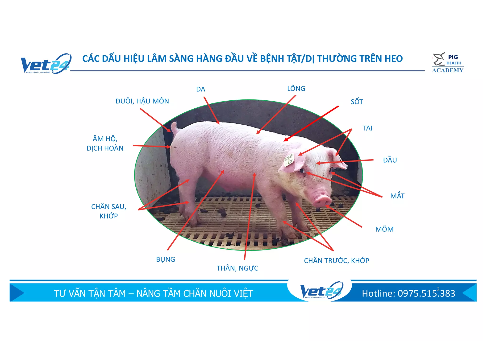 Chan doan Nhan biet heo om.pdf