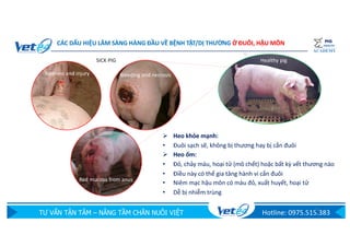 Chan doan Nhan biet heo om.pdf