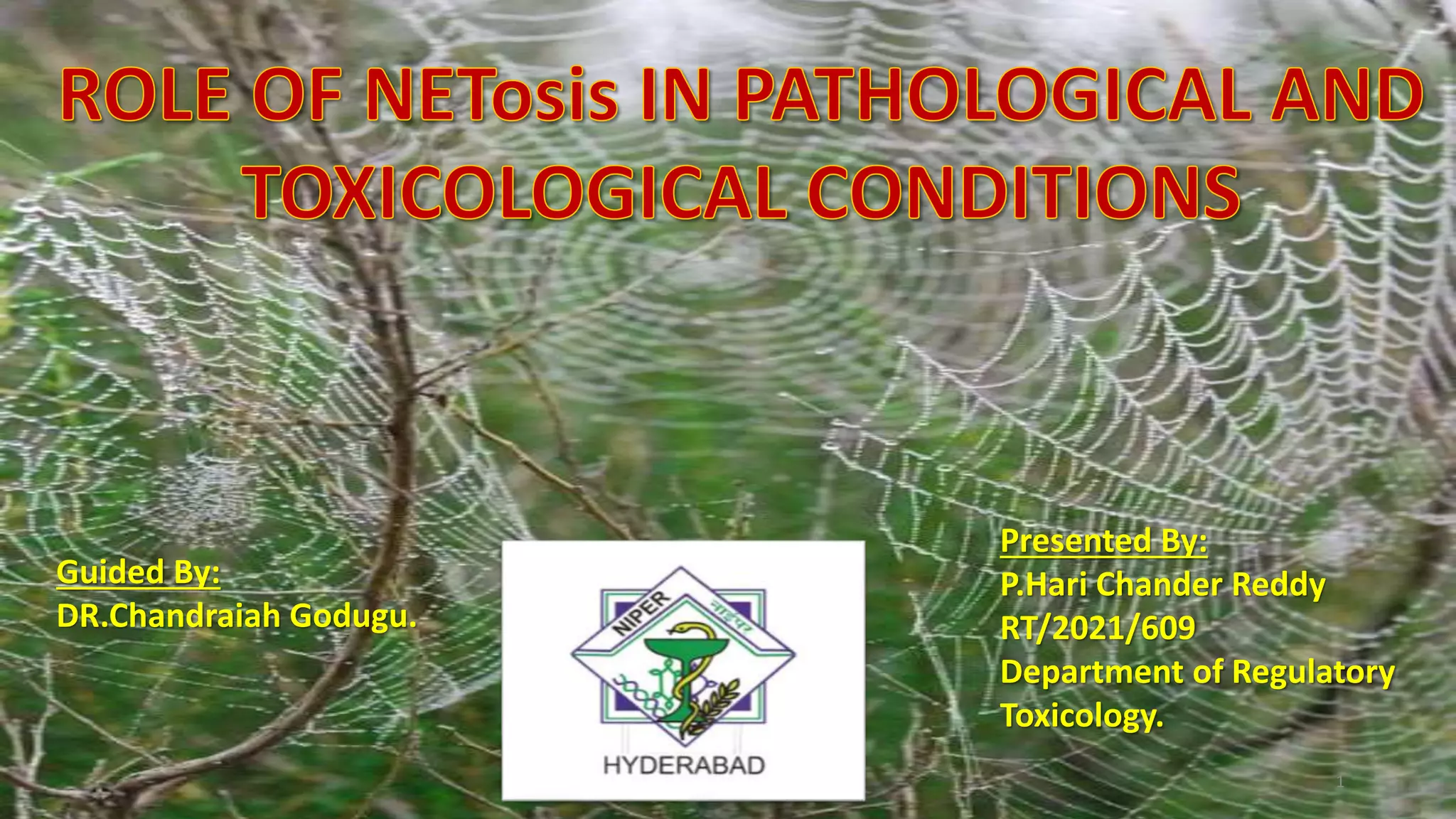 ROLE OF NETosis IN PATHOLOGICAL AND TOXICOLOGICAL CONDITIONS. | PPTX