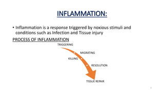 ROLE OF NETosis IN PATHOLOGICAL AND TOXICOLOGICAL CONDITIONS. | PPTX