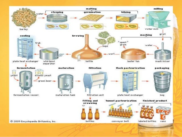beer processing and health benefits.